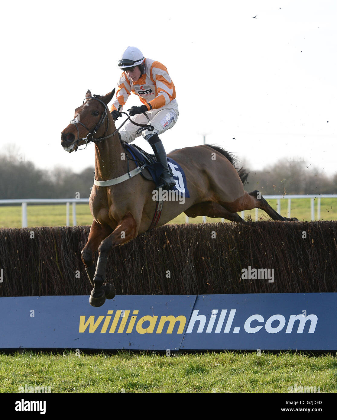 William henry chase hi-res stock photography and images - Alamy