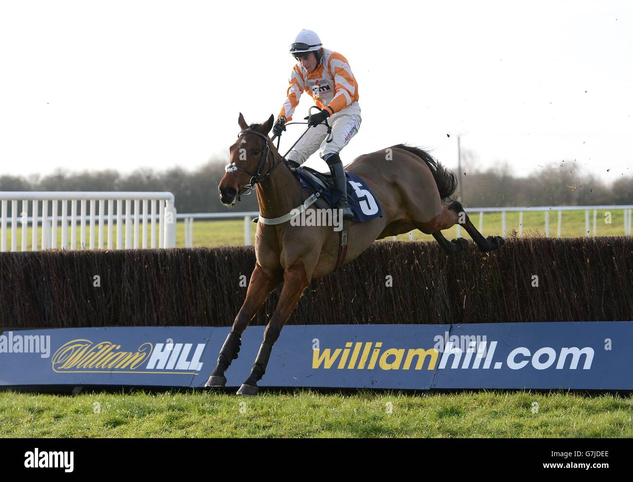 Royal Macnab, ridden by Henry Brooke, clears the second-to-last fence ...