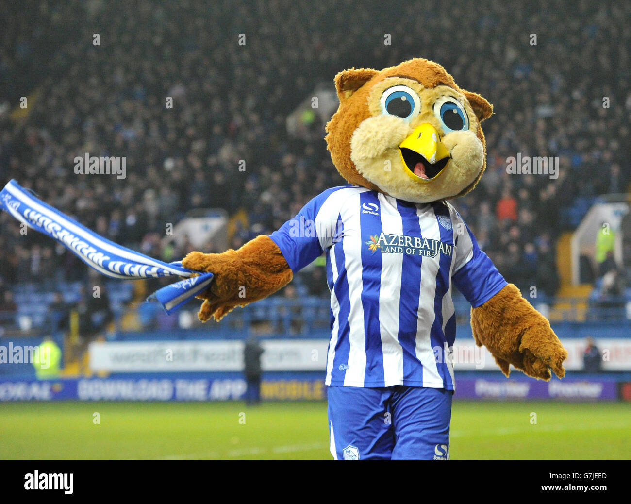Sheffield wednesday mascot High Resolution Stock Photography and Images ...