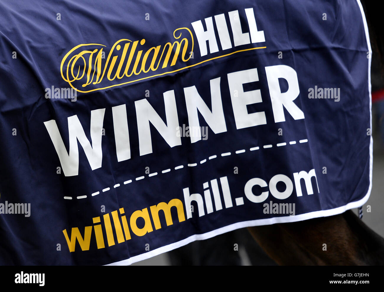 Special tiara paraded around winners enclosure winning desert orchid ...