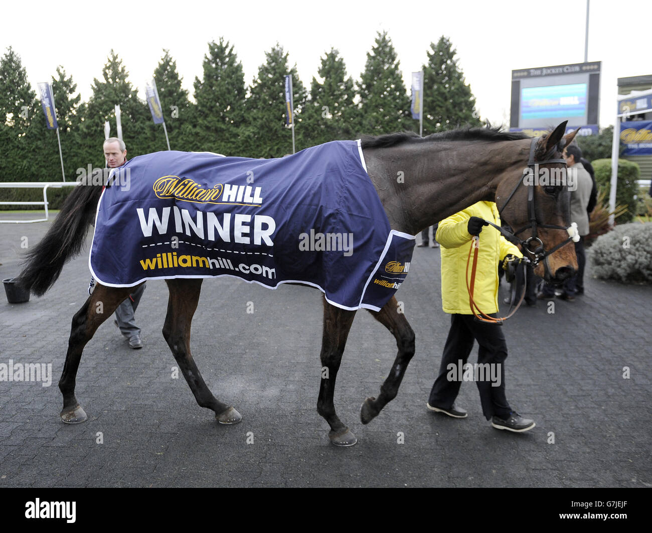 Races winners enclosure williamhill com williamhill william hill ...