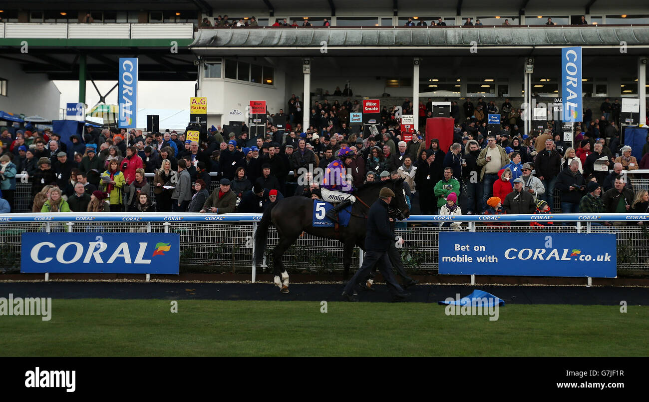Golden Doyen ridden Tom O'Brien in the parade ring before the coral.co ...