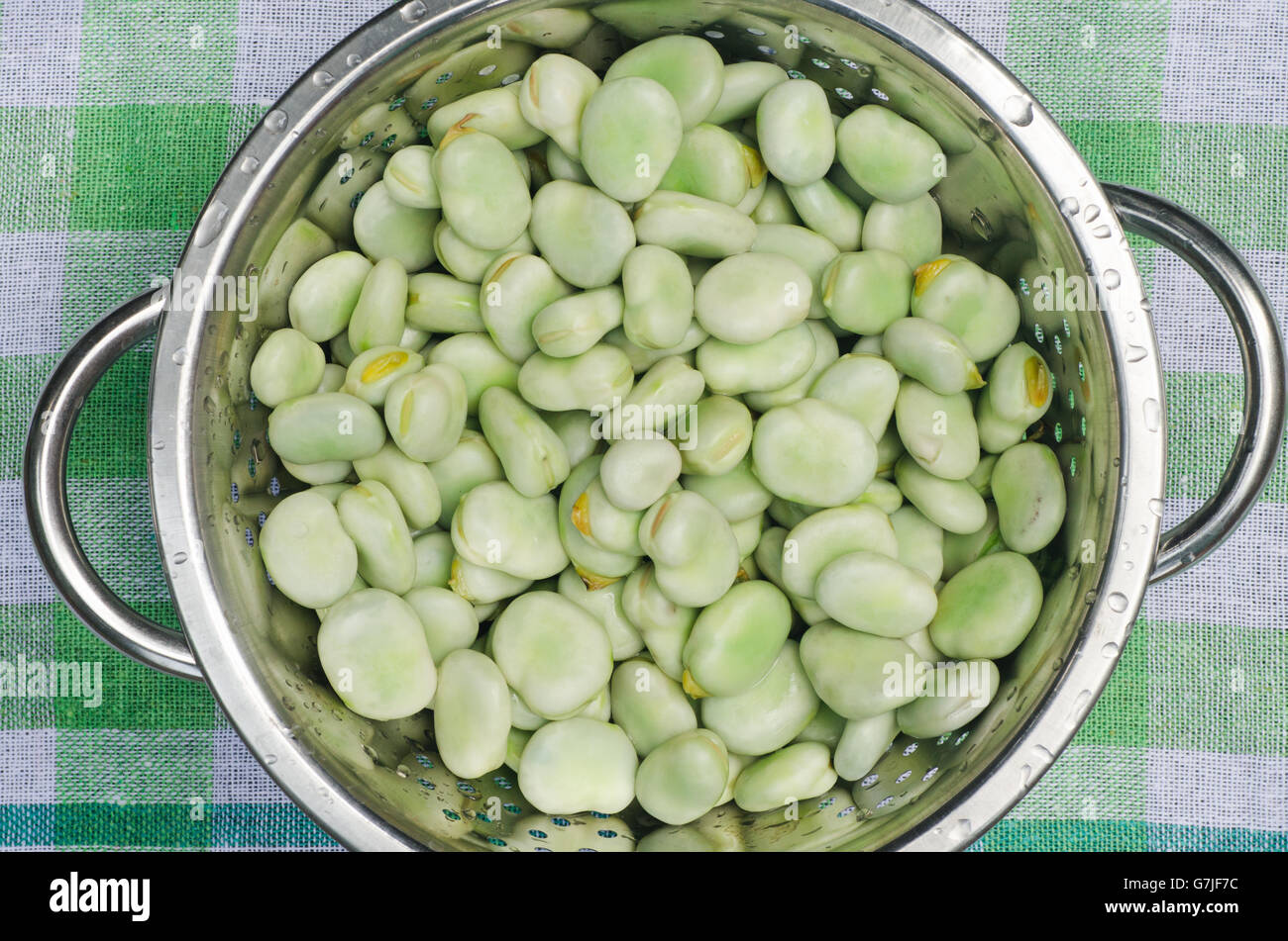 Broad beans macro hi-res stock photography and images - Alamy