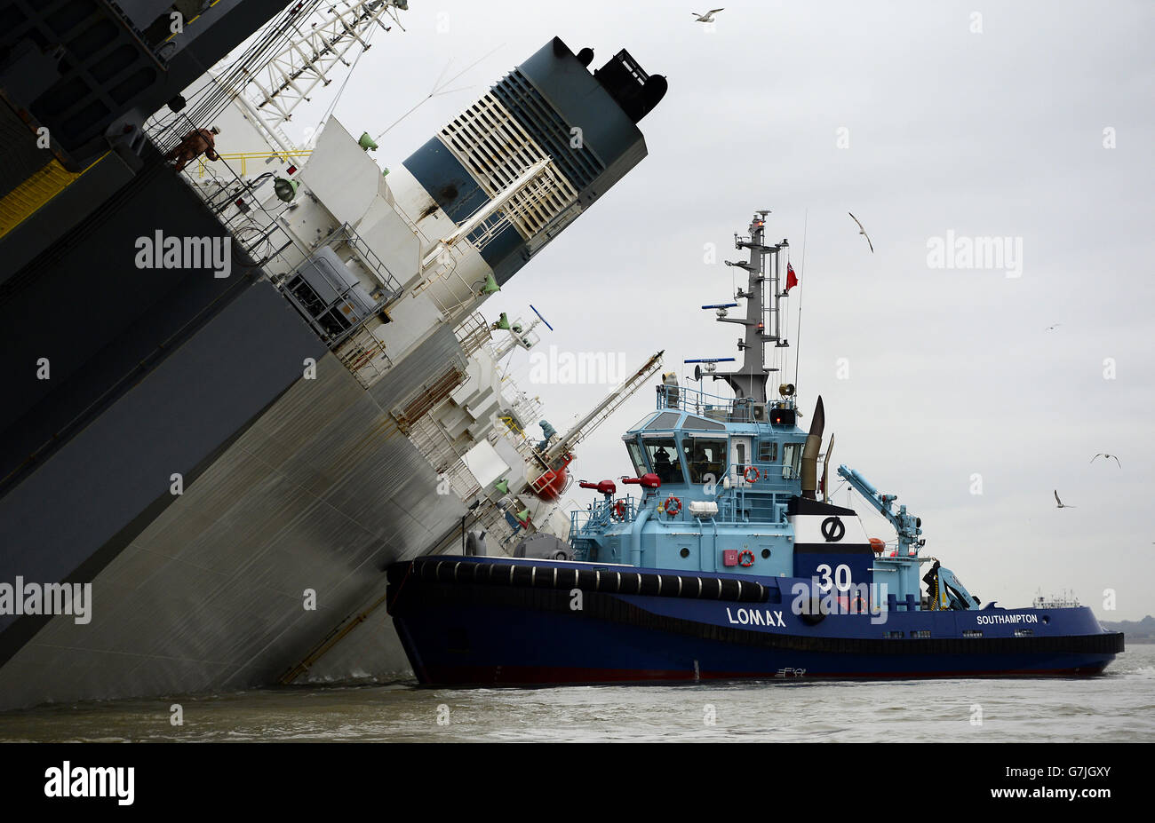 Sea carrier sea carrier ampics hi-res stock photography and images - Alamy