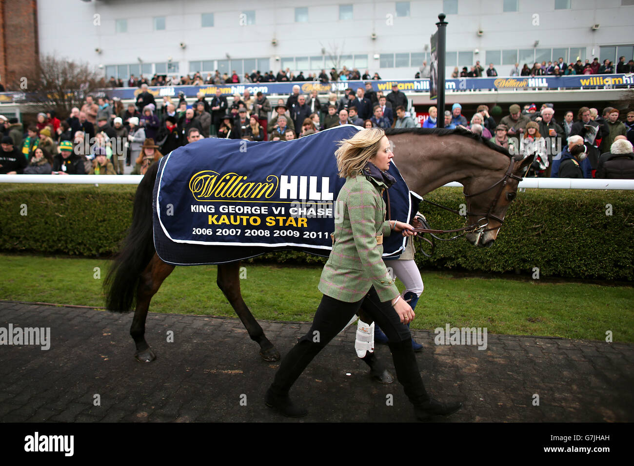 Kauto Star is led around the parade ring at Kempton Park Stock Photo ...