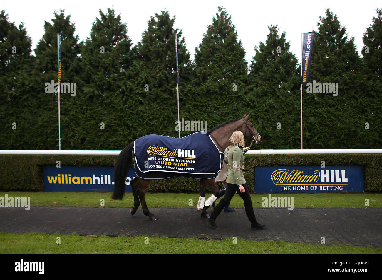 Kauto Star is led around the parade ring at Kempton Park Stock Photo ...