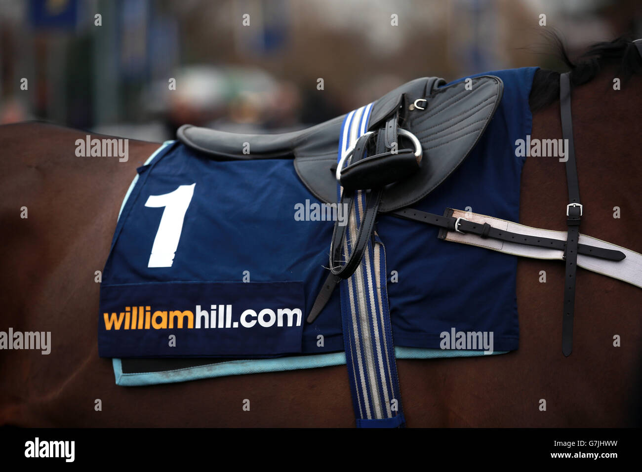 Detail of the saddle cloth of River Maigue prior to the William Hill ...