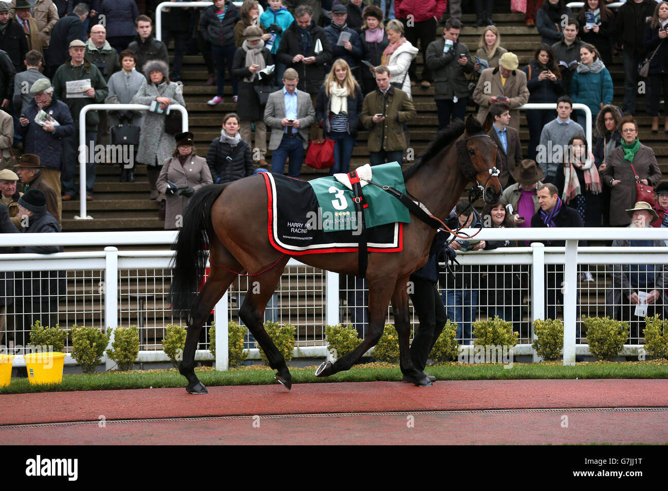 Racing cheltenham races detail hi-res stock photography and images - Alamy