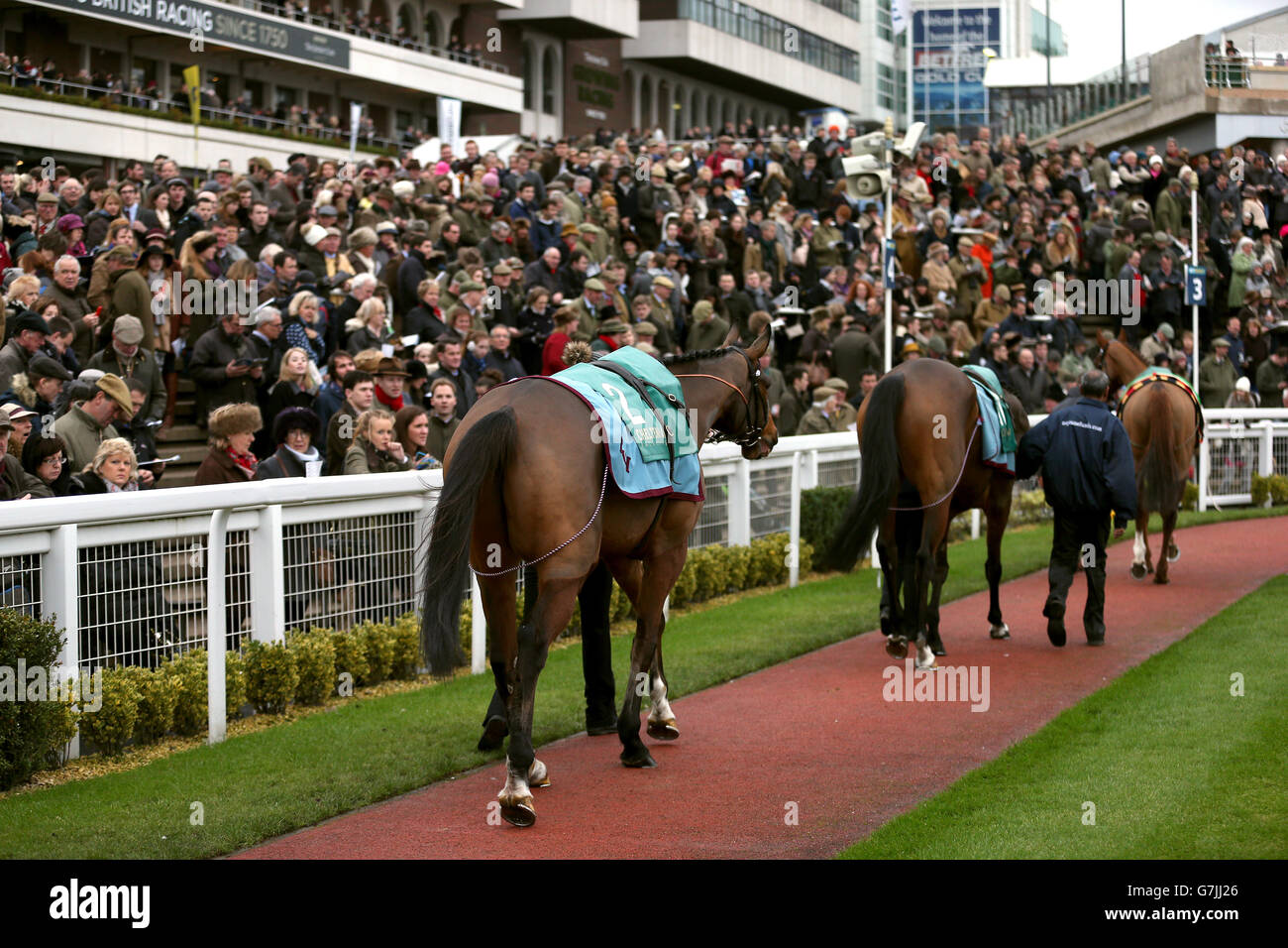 Cheltenham Parade Ring High Resolution Stock Photography and Images - Alamy