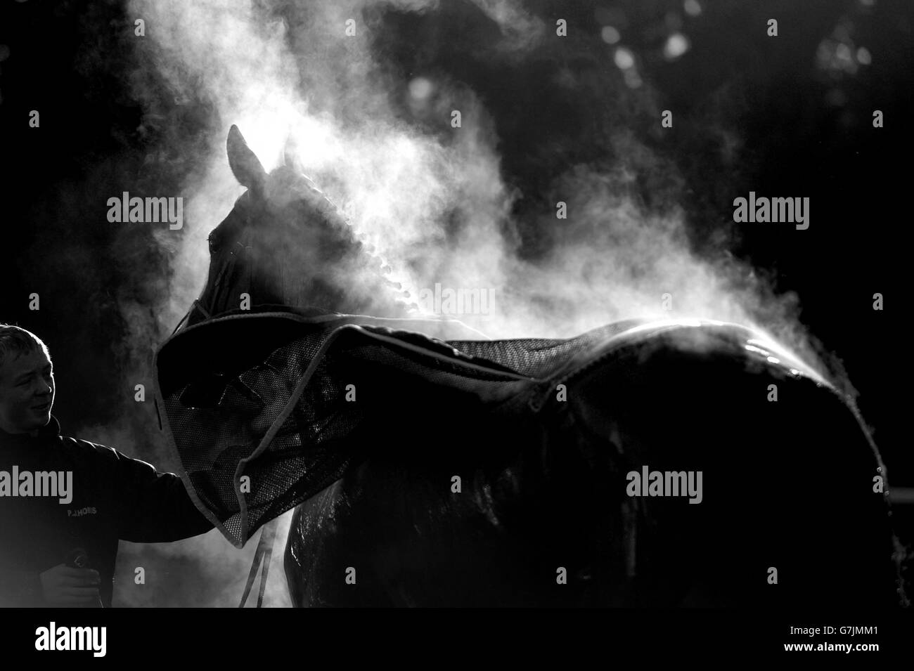 Steam rises off a horse after the Bradley Partnership Handicap Hurdle ...