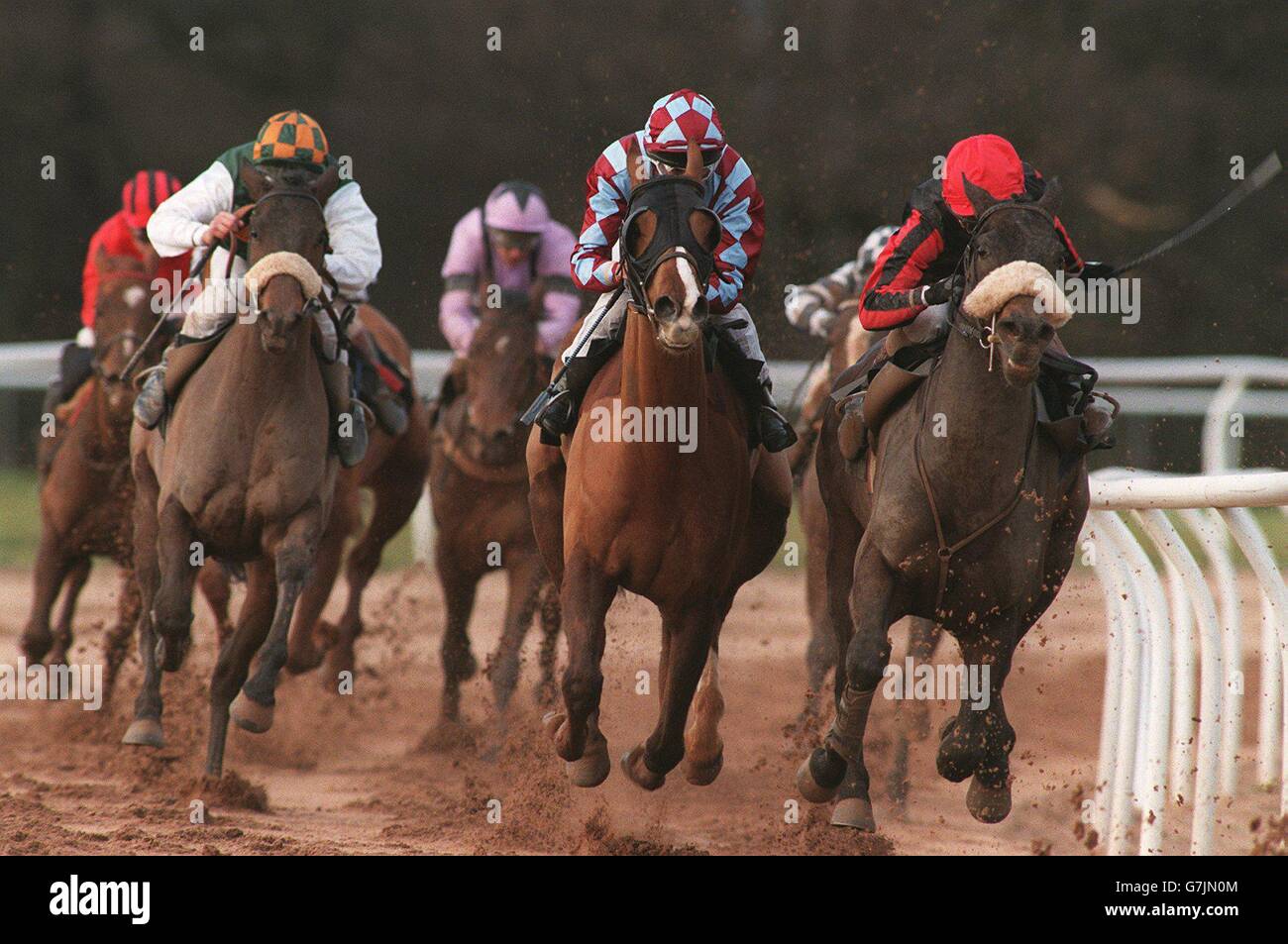 Horse racing from wolverhampton hi-res stock photography and images - Alamy