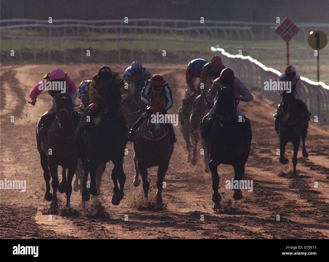 Horse racing from wolverhampton hi-res stock photography and images - Alamy