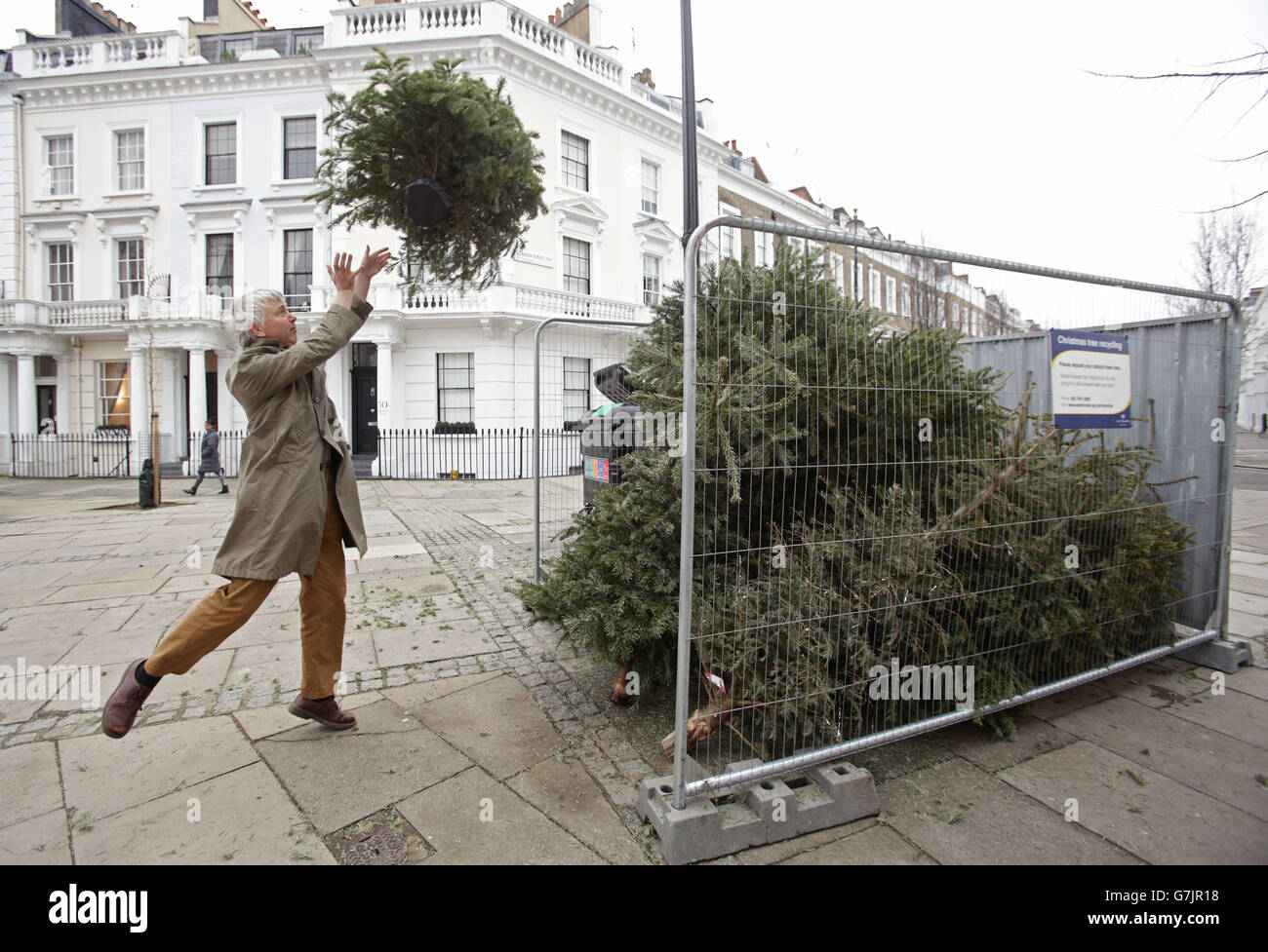 A man disposes of his tree at a Christmas tree recycling site in ...