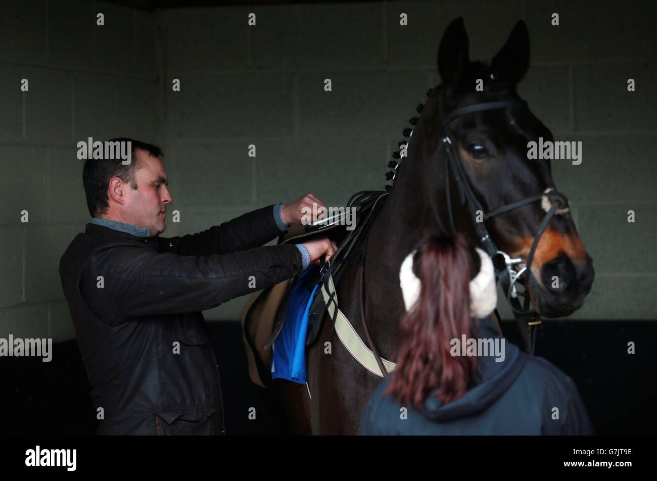 Evan williams trainer hi-res stock photography and images - Alamy