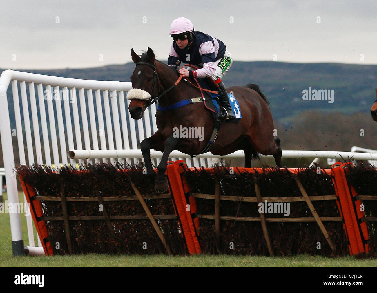 Brandon Hill ridden by Robert Dunne on their way to victory in the 1871 ...