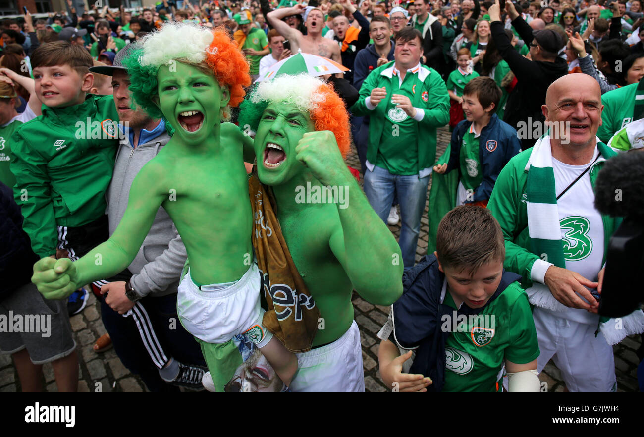 Fans celebrate as they watch the Republic of Ireland take a 1-0 lead ...