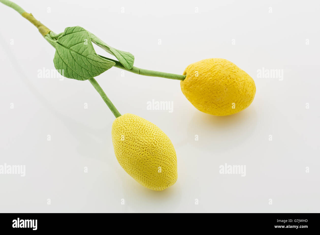 Lemon twigs over white background Stock Photo - Alamy