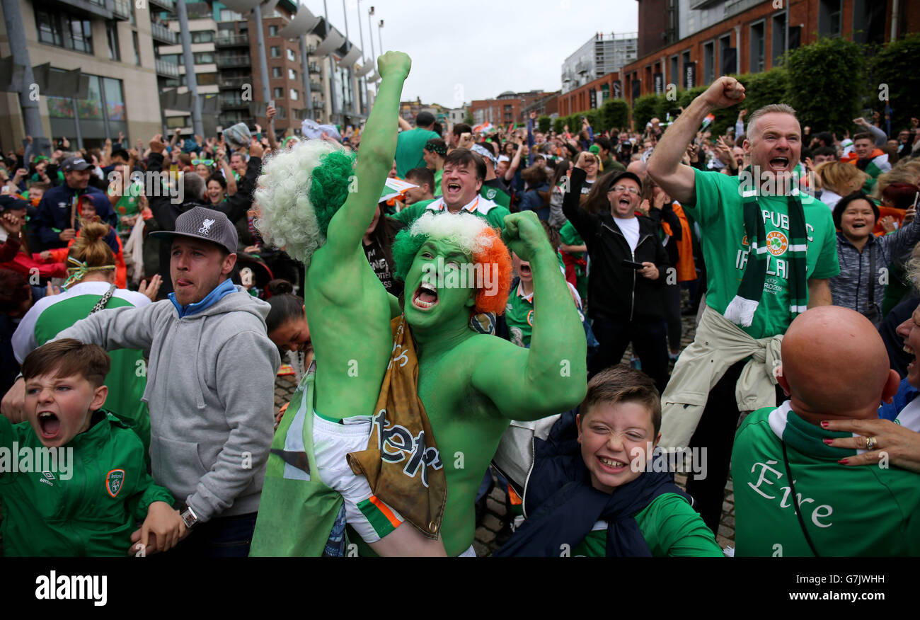 Fans celebrate as they watch the Republic of Ireland take a 1-0 lead ...