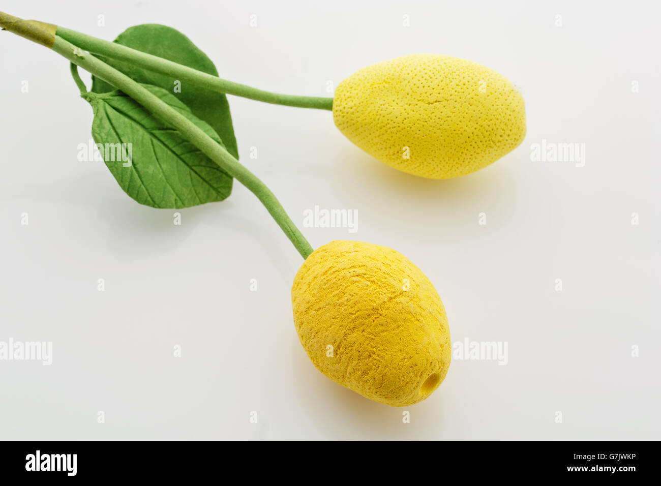 Lemon twigs over white background Stock Photo - Alamy