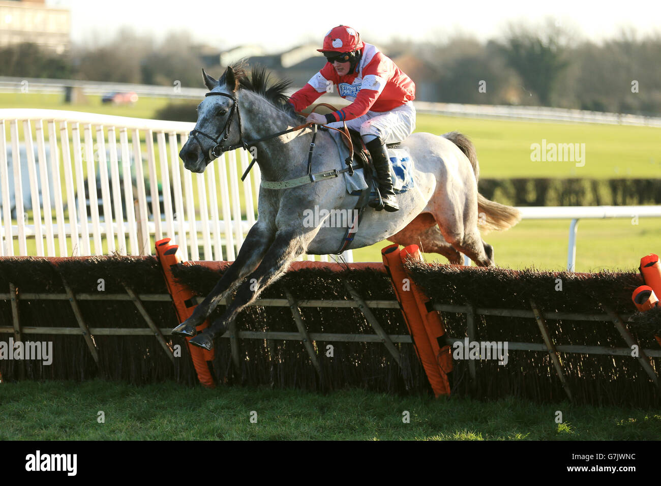 Horse Racing - Leicester Racecourse Stock Photo - Alamy
