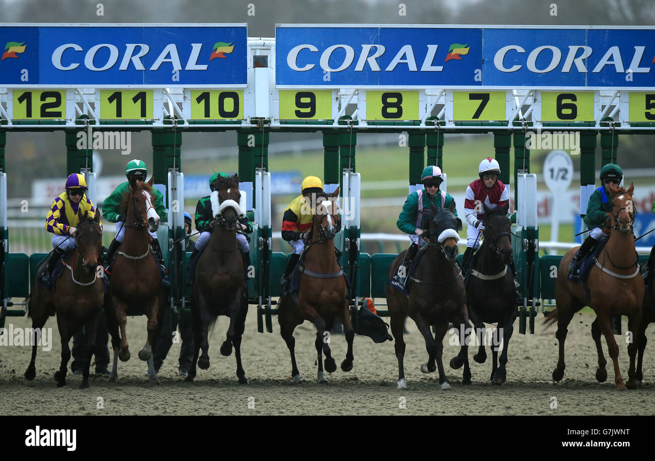 Stalls lingfield park racecourse hi-res stock photography and images ...