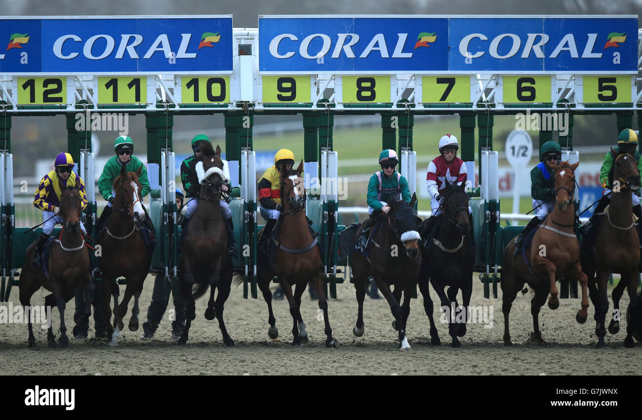 Stalls lingfield park racecourse hi-res stock photography and images ...