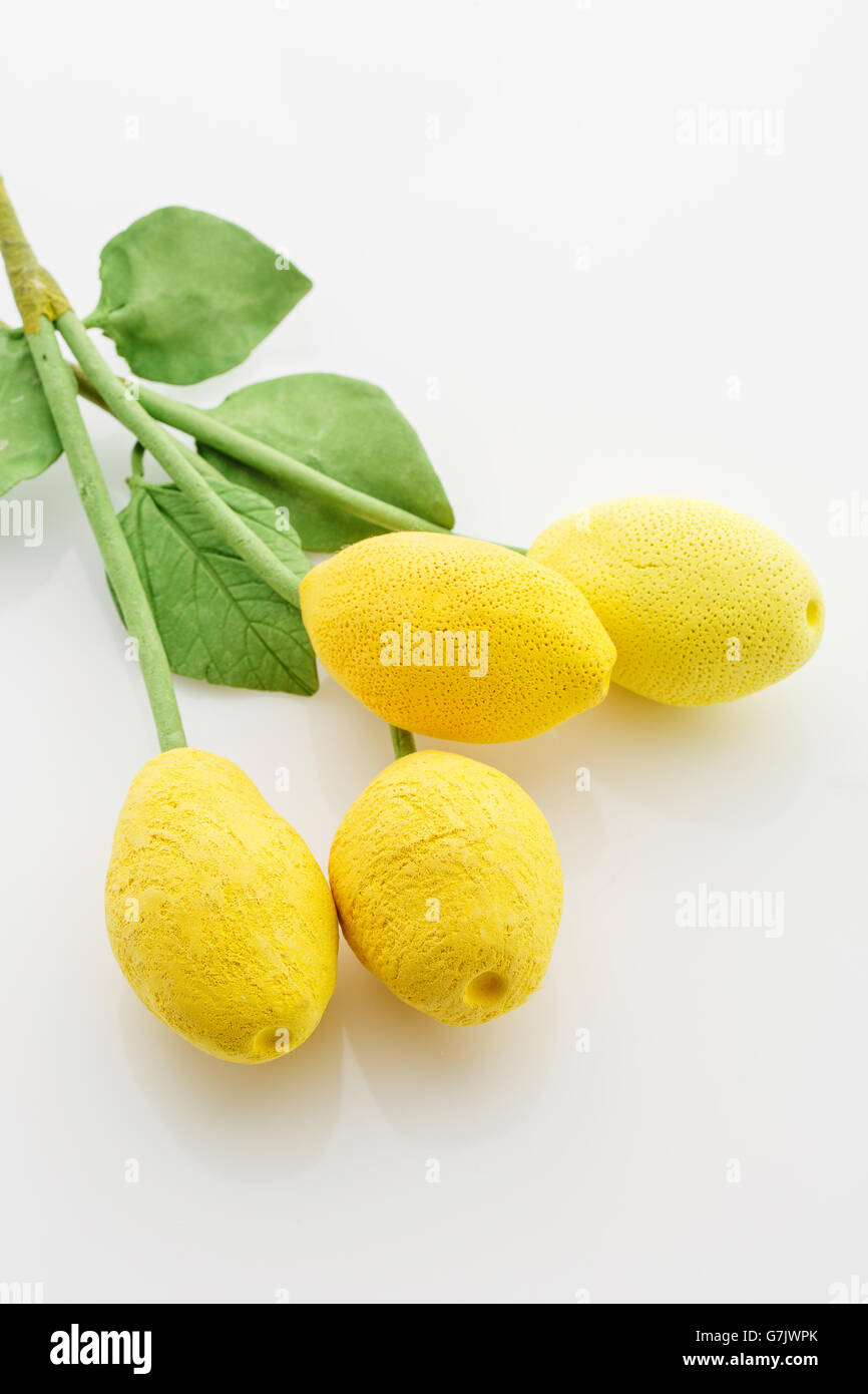 Lemon twigs over white background Stock Photo - Alamy