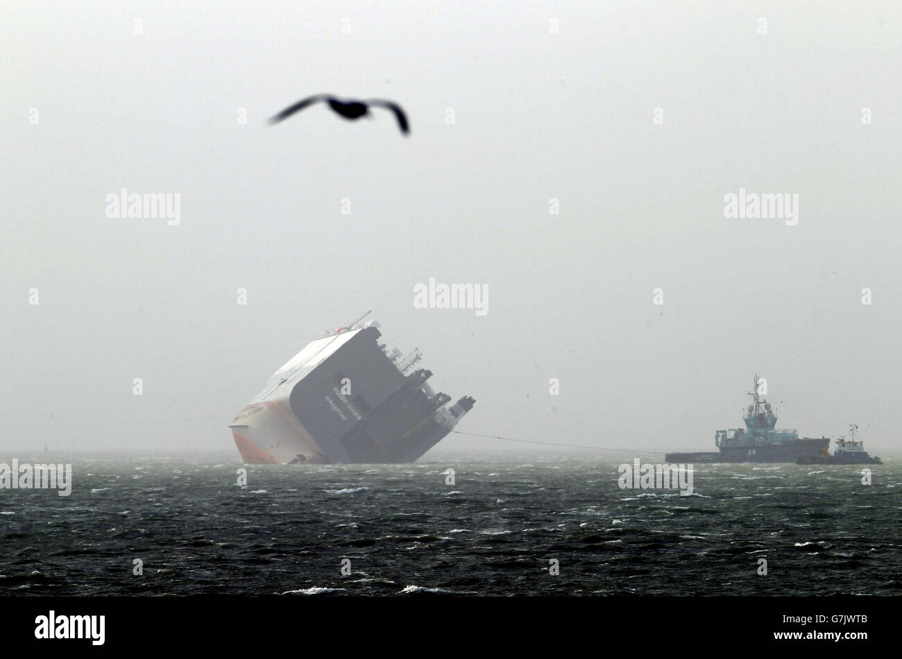 Solent ship grounding Stock Photo - Alamy