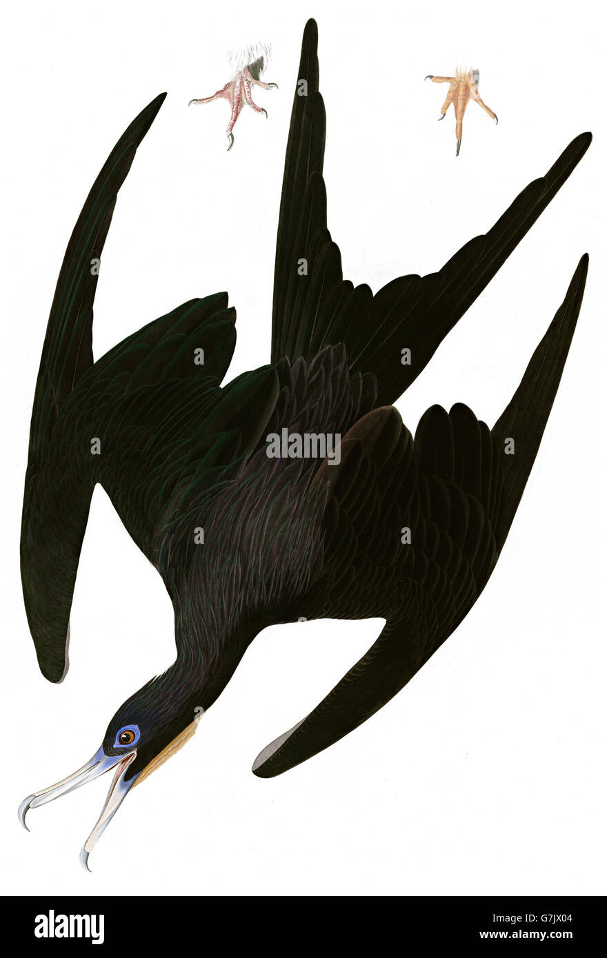 M class frigate Cut Out Stock Images & Pictures - Alamy