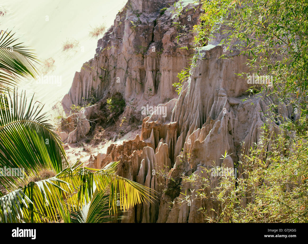 green landscape with palms and white sand rocks, fairy stream vi Stock ...