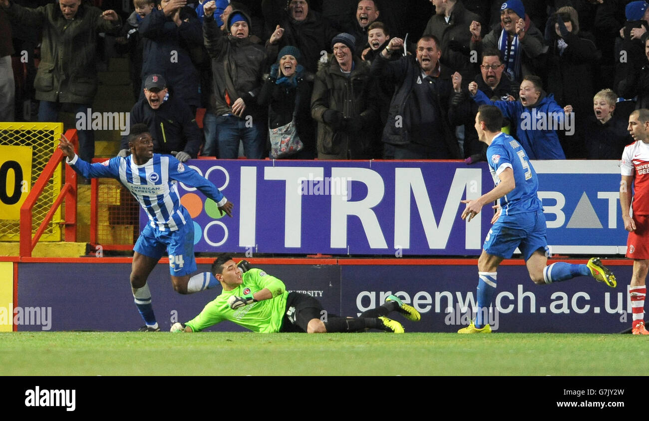 Brighton and Hove Albion's Rohan Ince celebrates scoring his side's ...