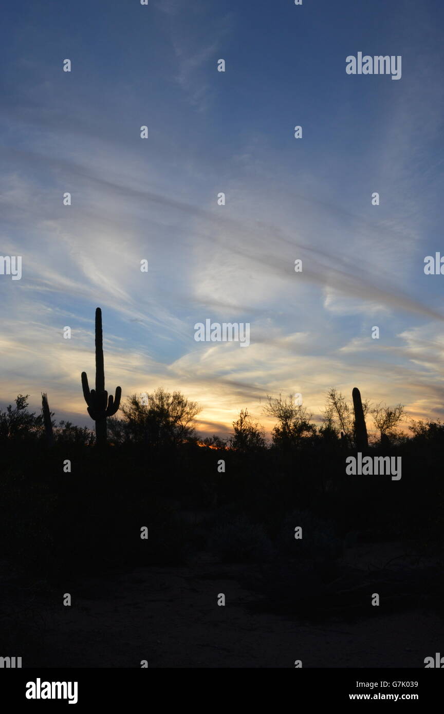 Arizona Desert Sunrise Stock Photo - Alamy