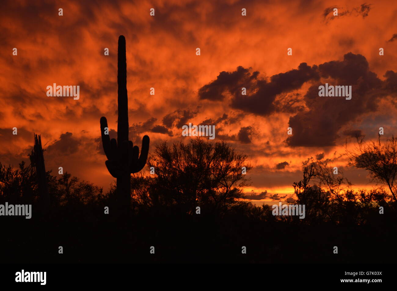 Orange Arizona Sunset Stock Photo - Alamy