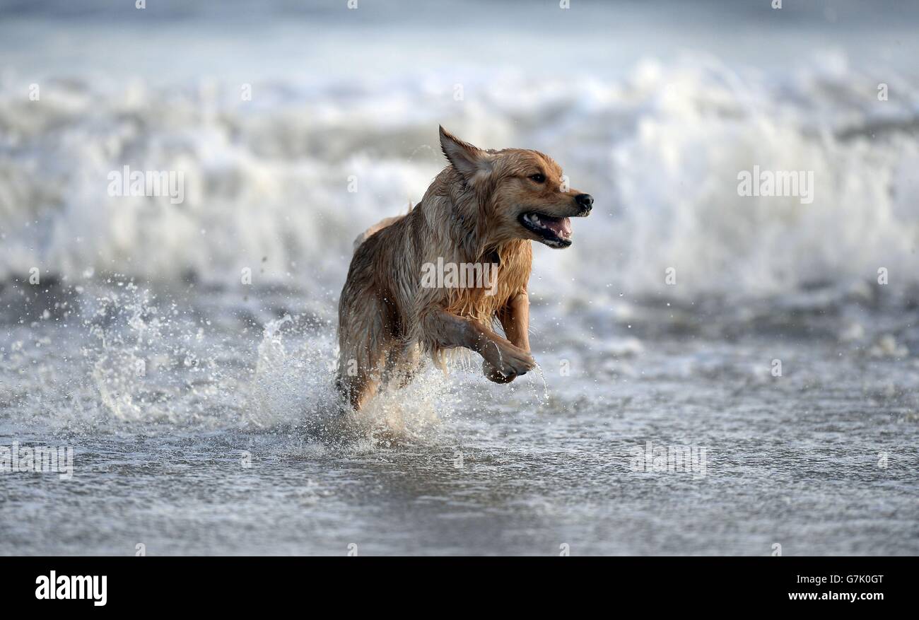 Surf ampics hi-res stock photography and images - Alamy