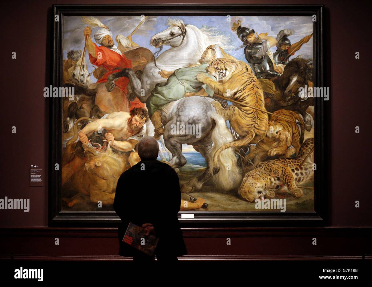 A visitor looks at Rubens' work 'Tiger, Lion, and Leopard Hunt' during ...