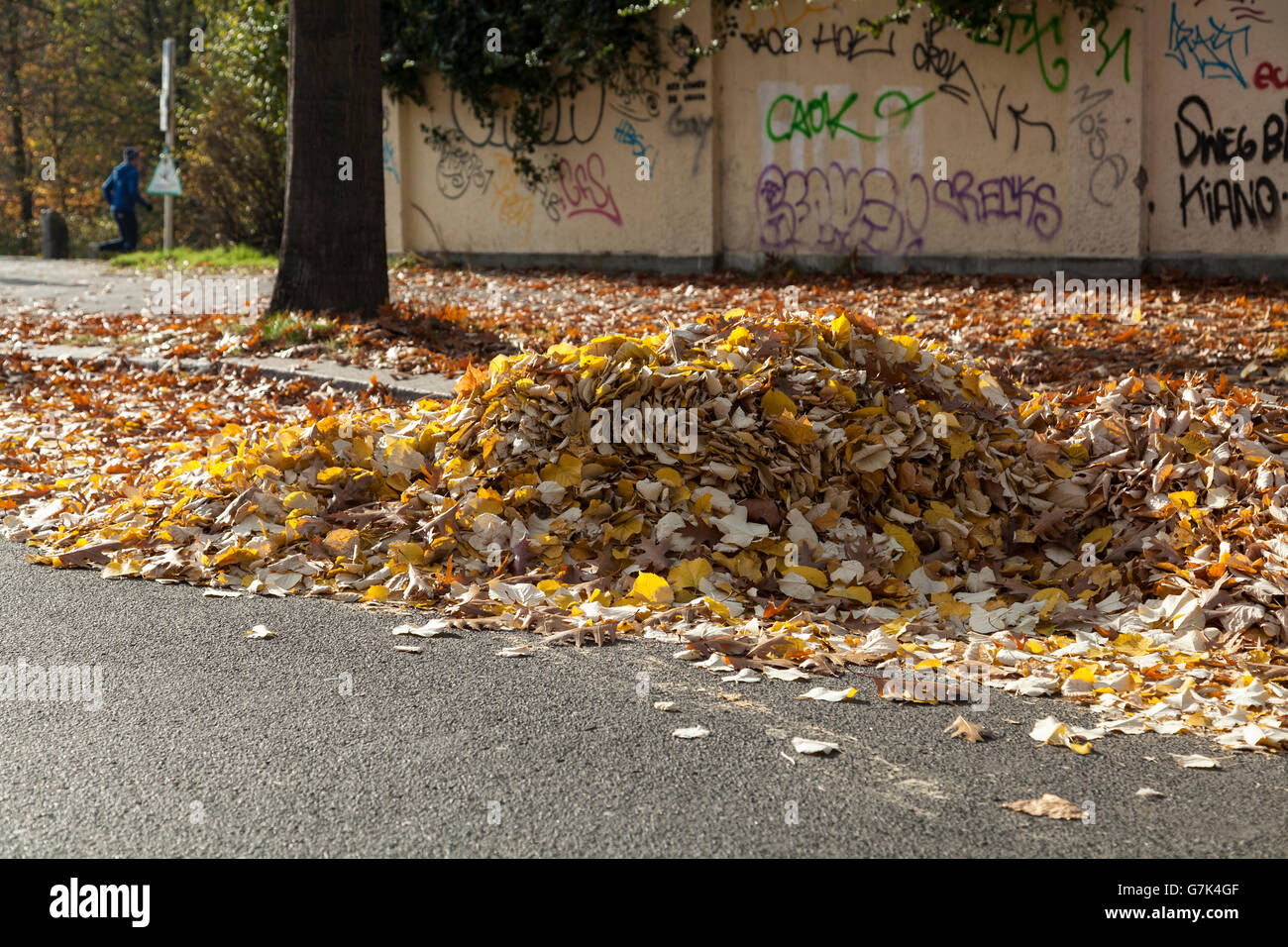Heap leaves autumn hi-res stock photography and images - Alamy