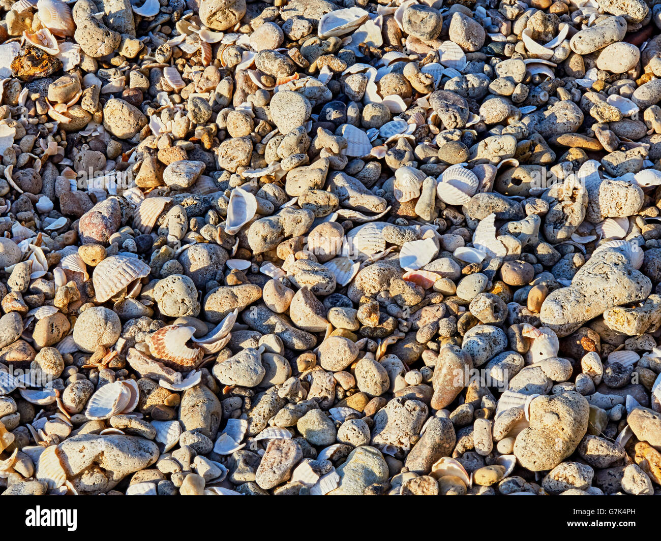 The surface of the beach shore of closeup Stock Photo - Alamy
