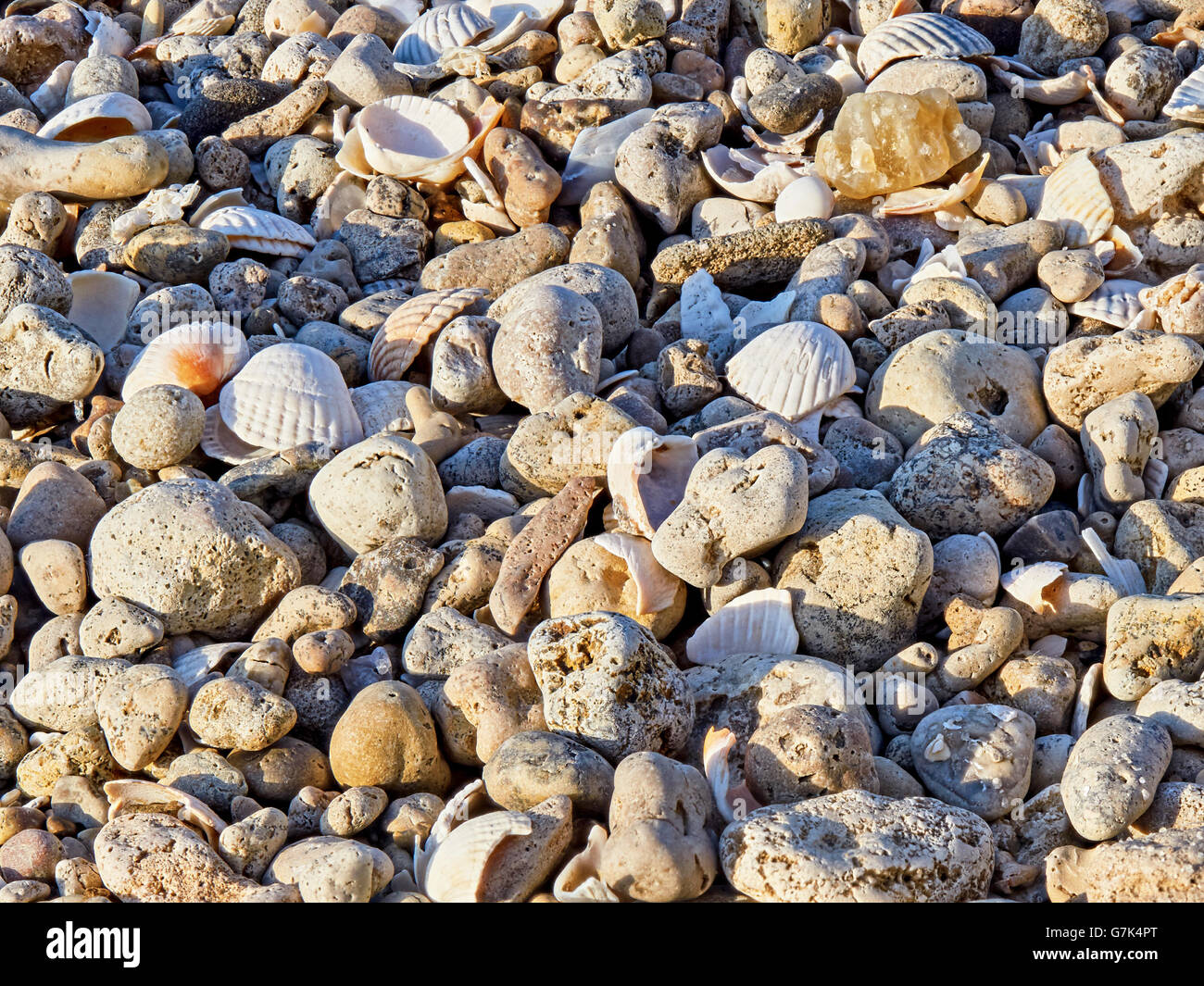 The surface of the beach shore of closeup Stock Photo - Alamy