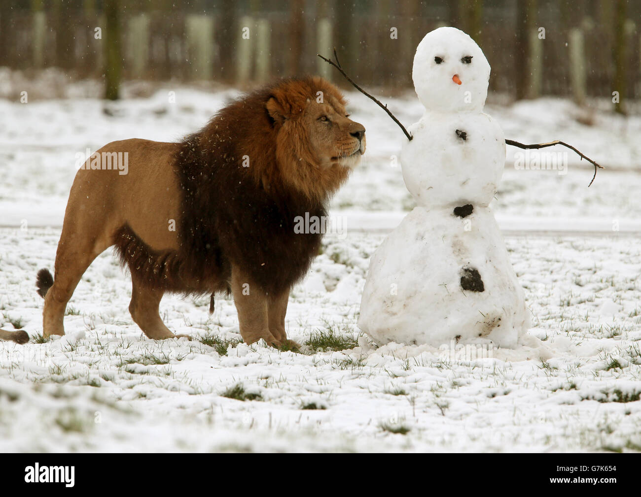Olaf The Snowman High Resolution Stock Photography and Images - Alamy