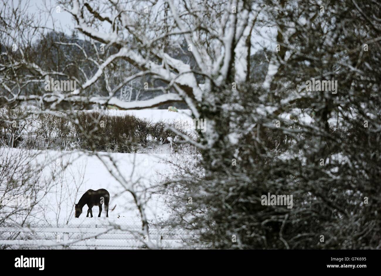 Moate co westmeath ireland hi-res stock photography and images - Alamy