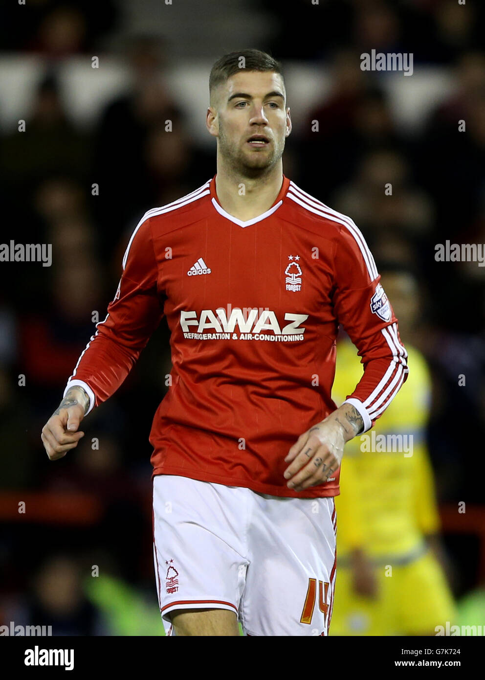 Lars veldwijk forest hi-res stock photography and images - Alamy