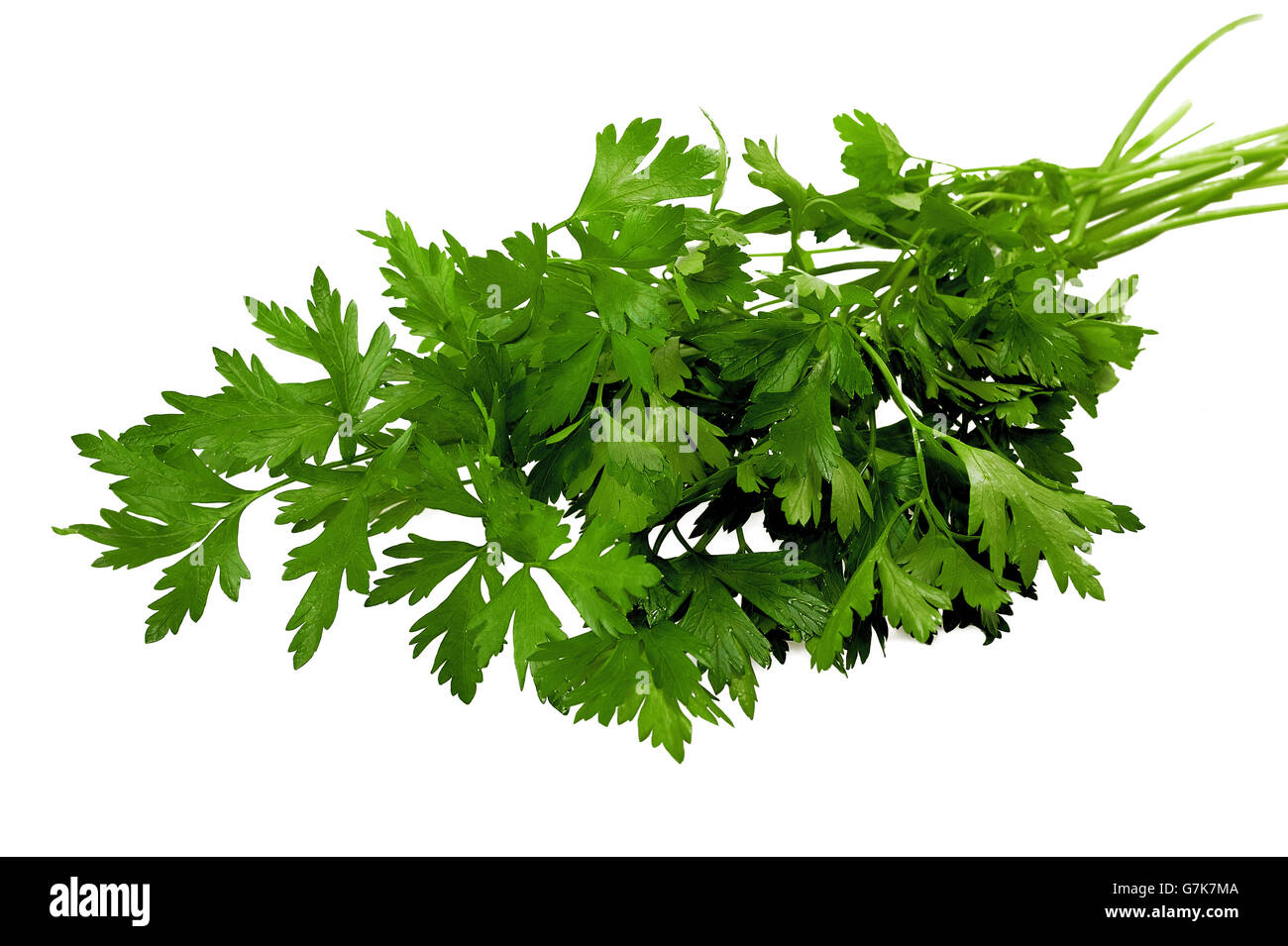 Bunch of parsley hi-res stock photography and images - Alamy