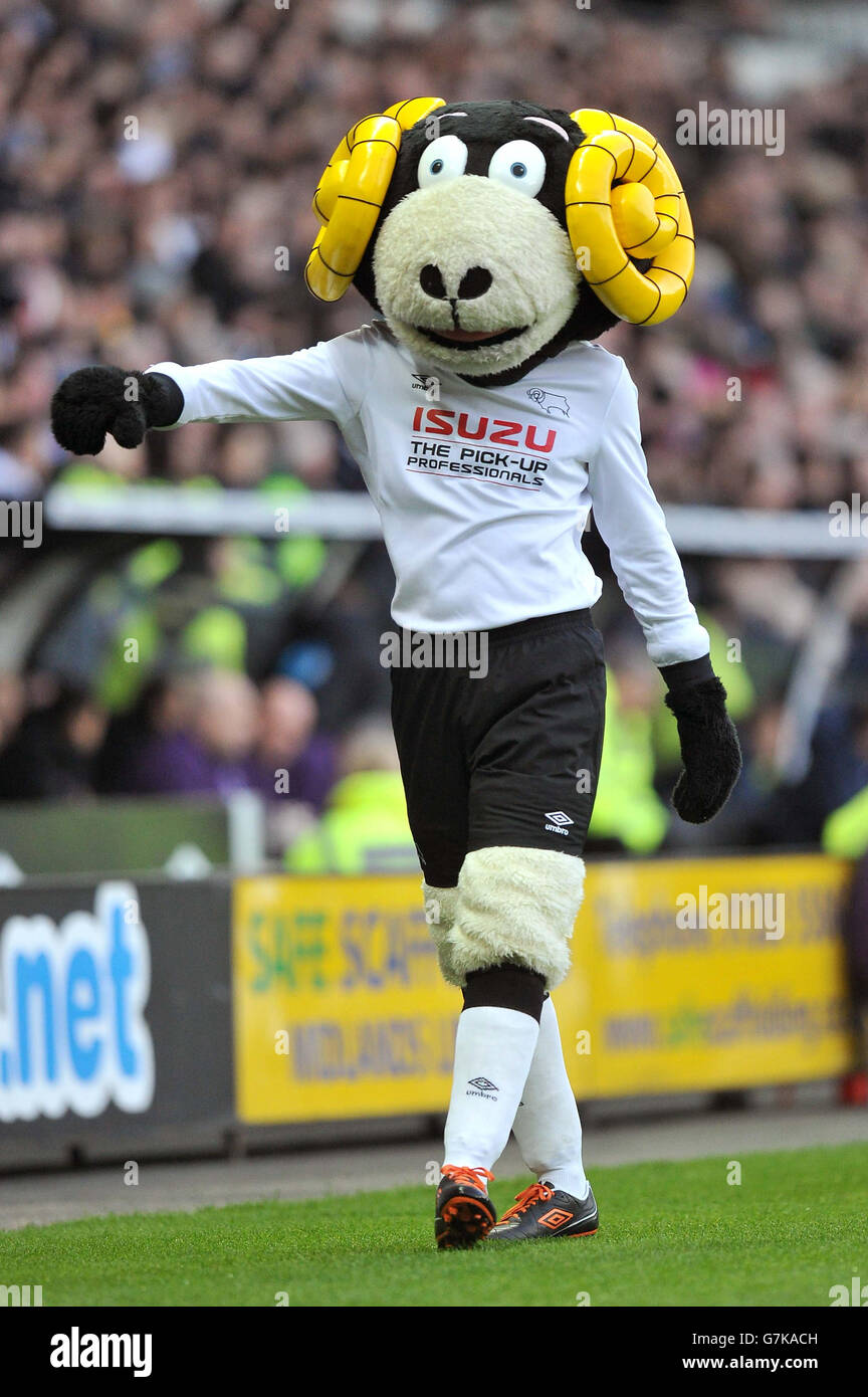 Derby County Ram Picture Clipart