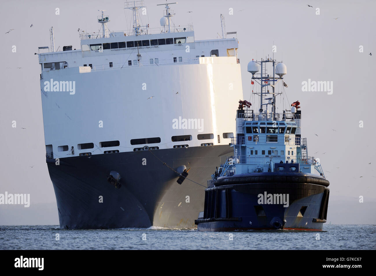 Solent ship grounding Stock Photo - Alamy
