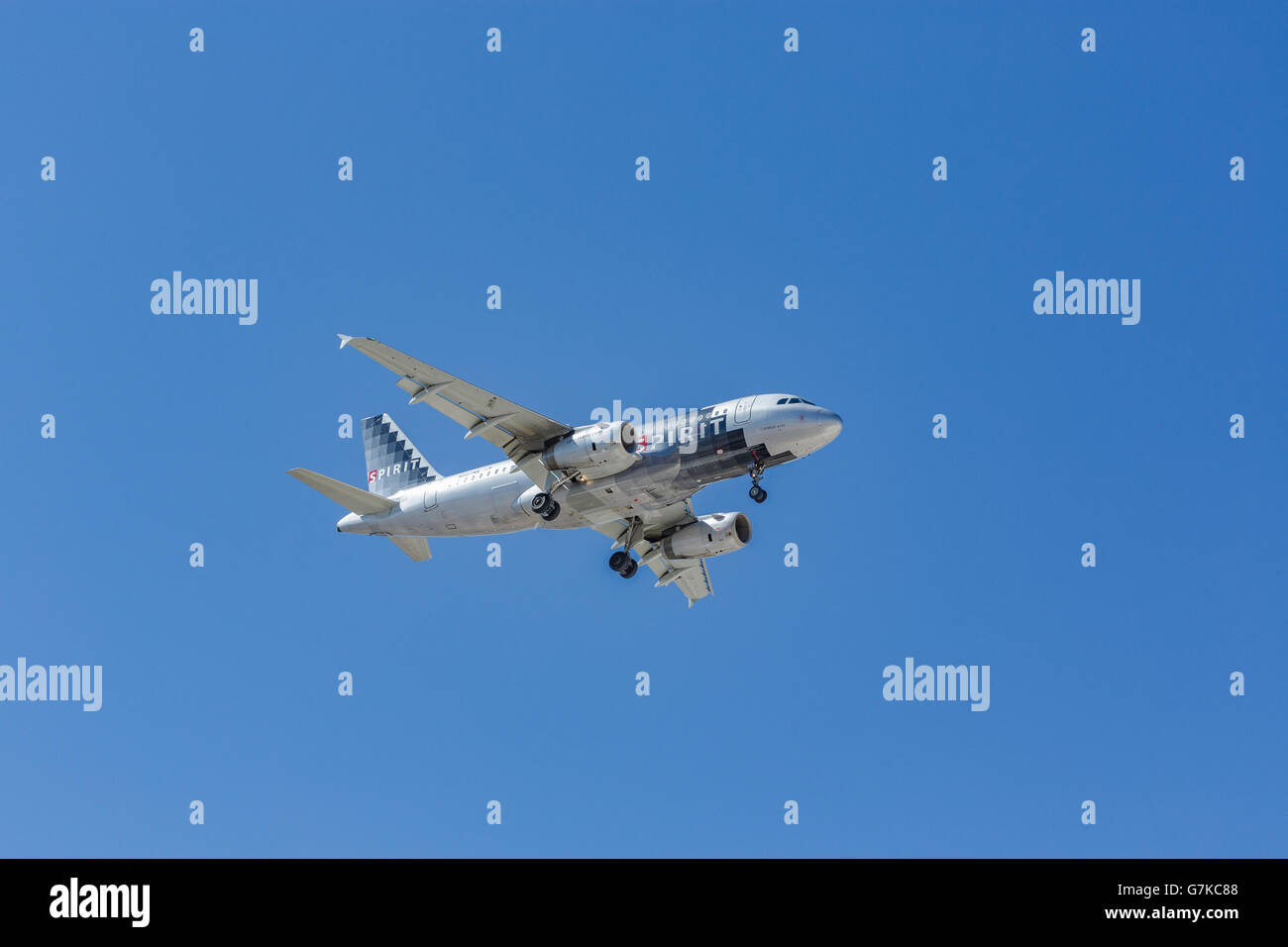 Spirit Airlines airplane landing at Las Vegas airport Stock Photo - Alamy