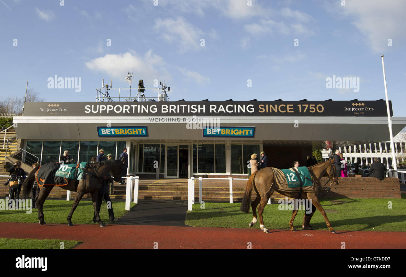 Sport racing cheltenham hi-res stock photography and images - Alamy