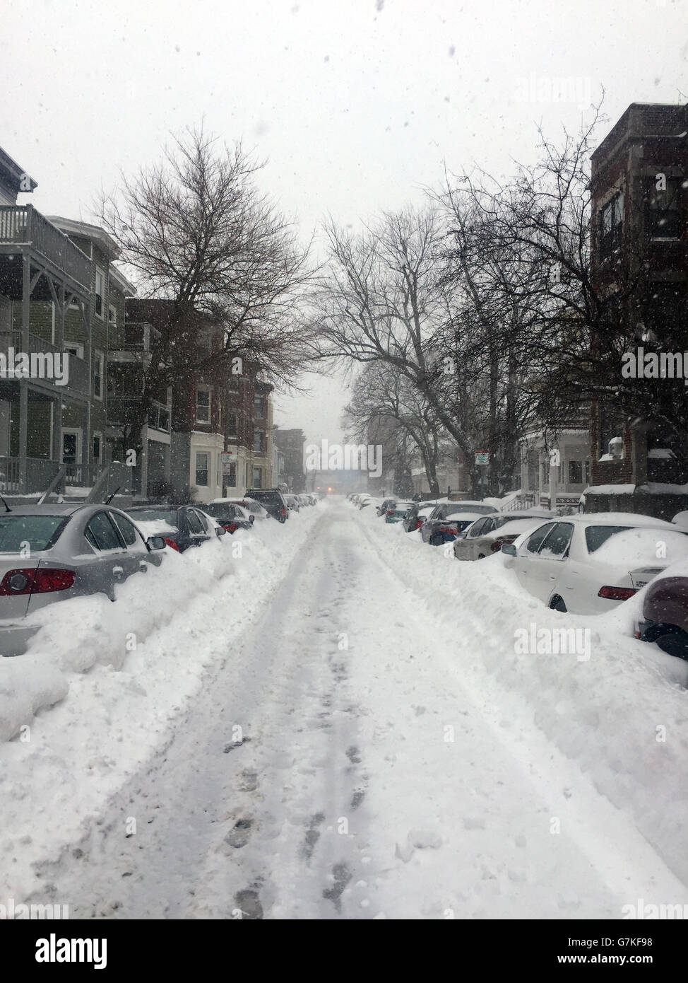 USA, Boston: Winter storm Juno pounded Boston with snow and heavy gusts ...