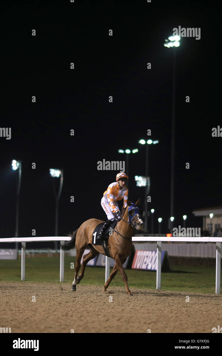 Horseracing races full length aw all weather night nighttime racing hi ...