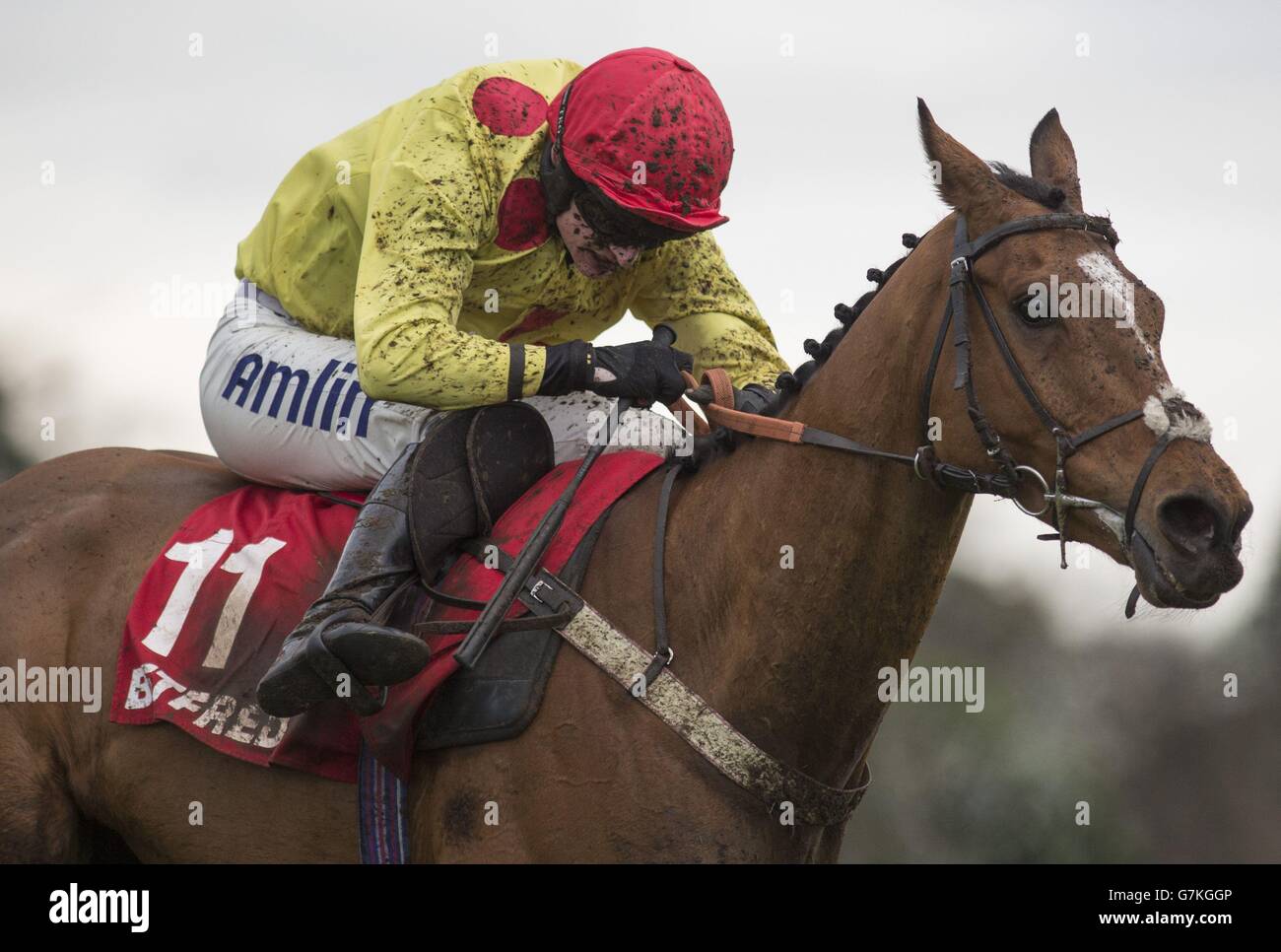 Invicta horse hi-res stock photography and images - Alamy