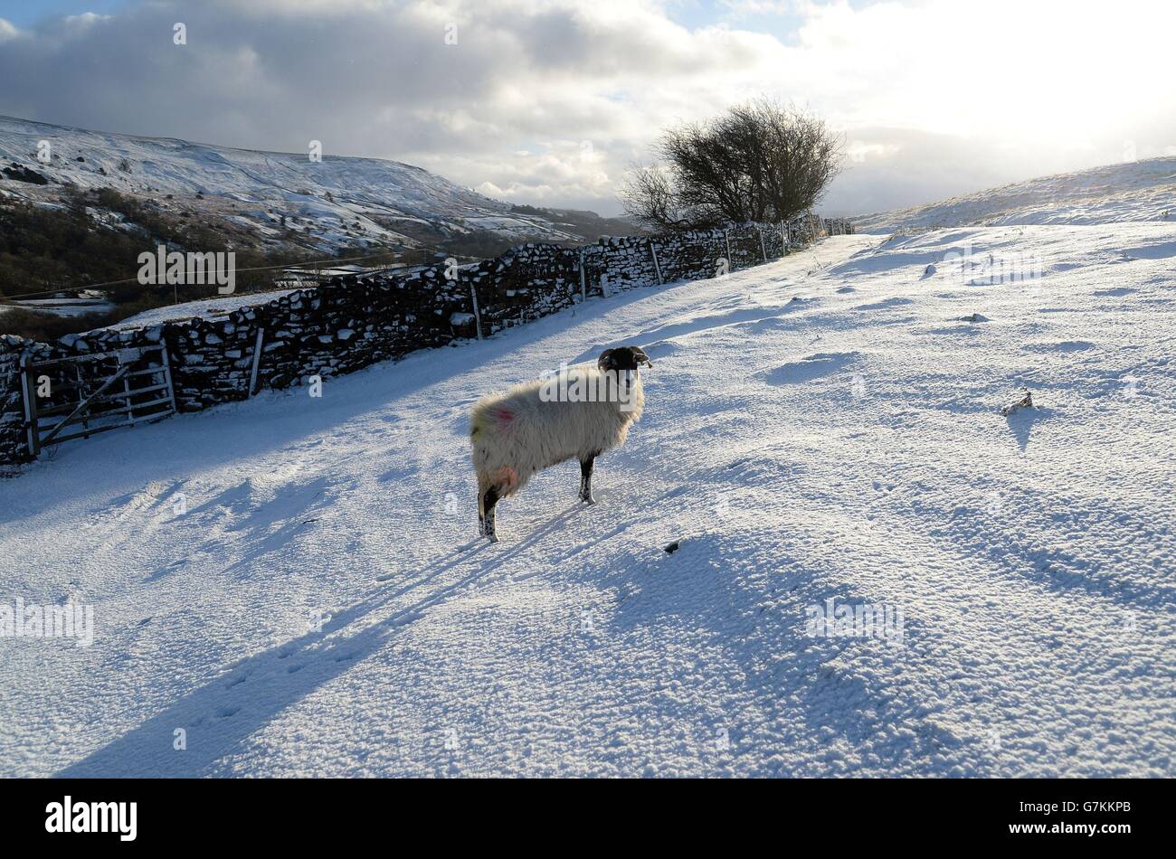 Weather - Winter Snowfall - Reeth, North Yorkshire Stock Photo - Alamy